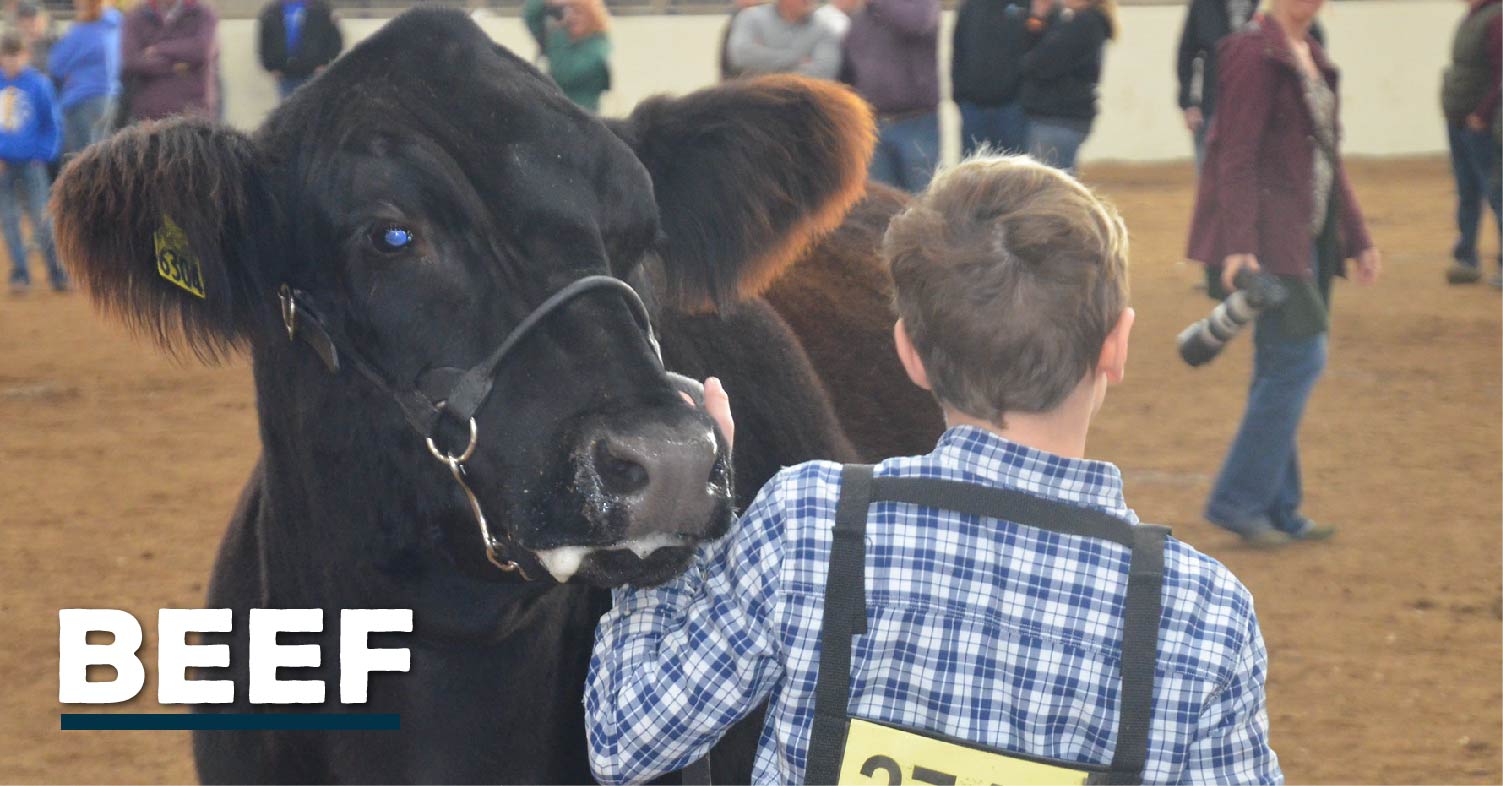 Beef | Pennsylvania Farm Show | Commonwealth of Pennsylvania