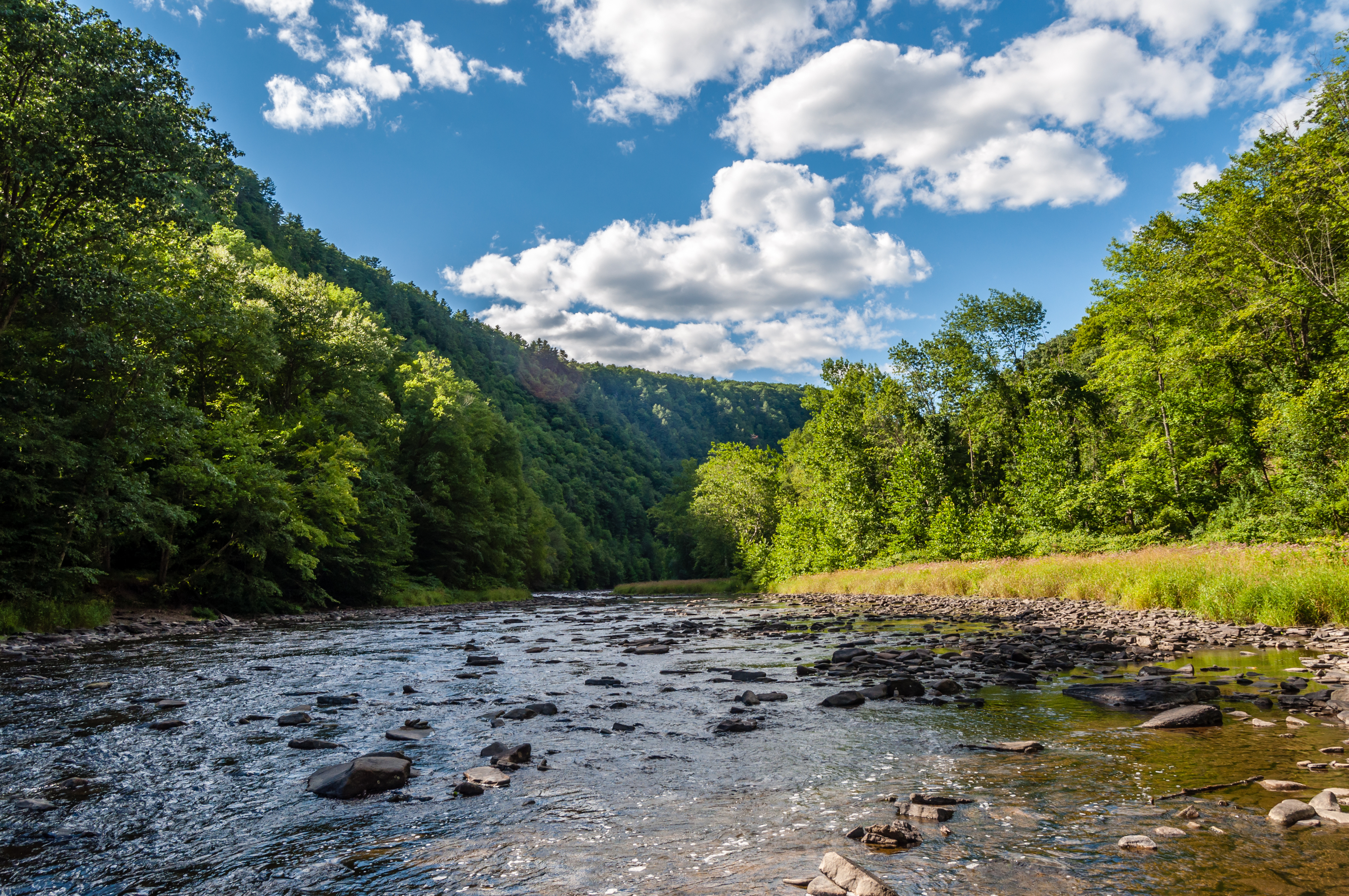Pennsylvania Department of Environmental Protection (DEP)
