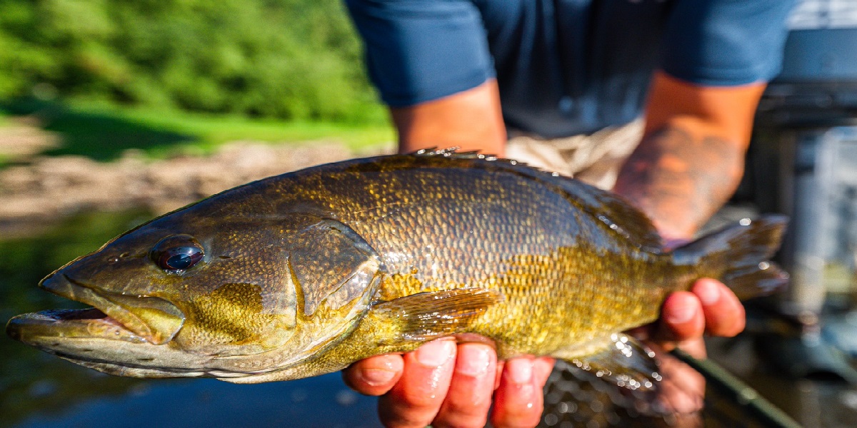 Education | Fish and Boat Commission | Commonwealth of Pennsylvania