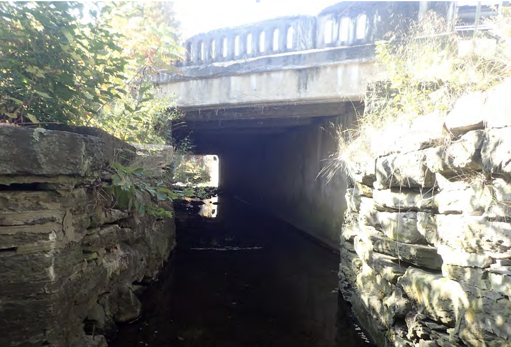 Route 415 (Memorial Highway) over Toby Creek Bridge Project ...