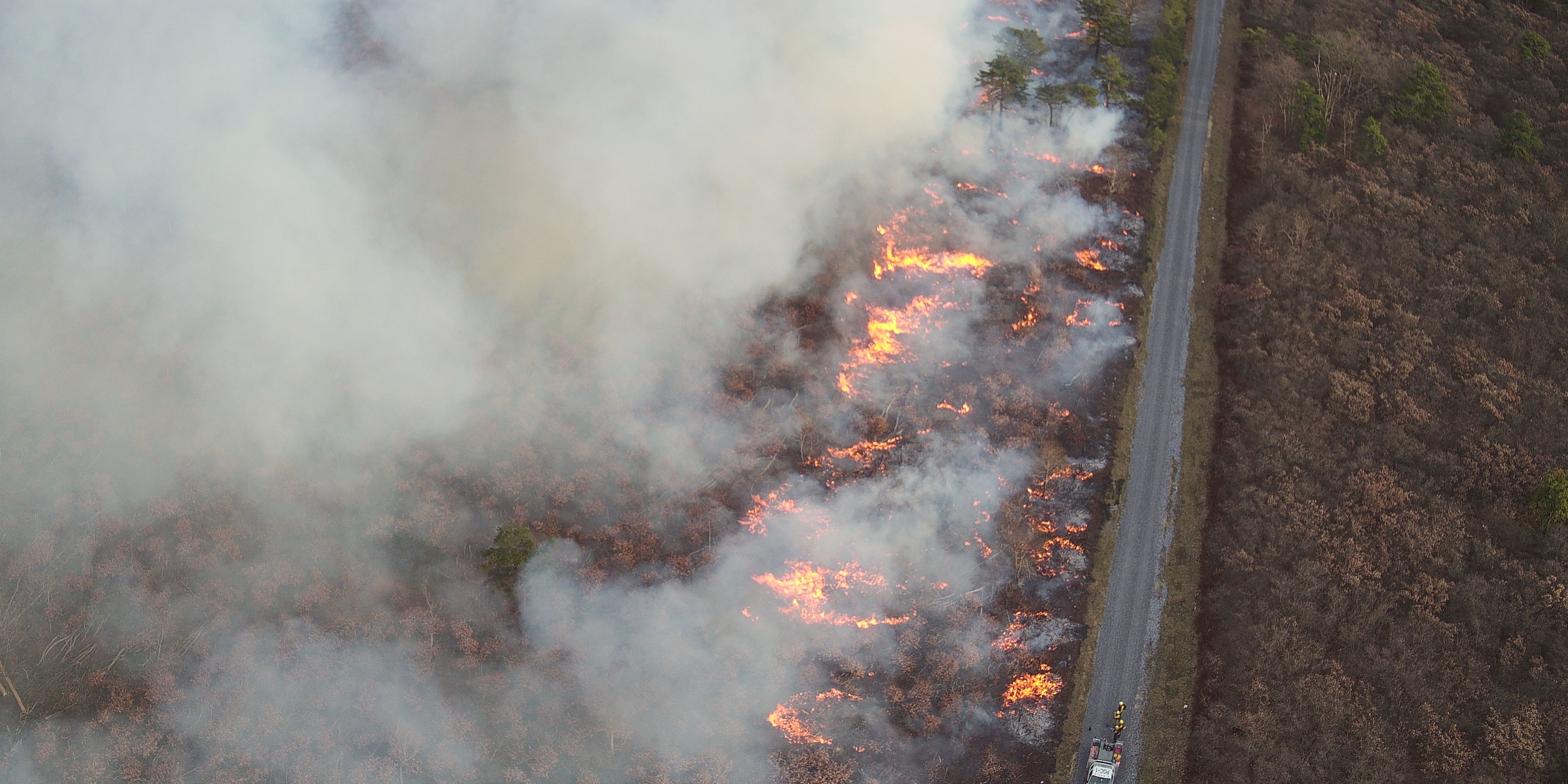 Sign up for Prescribed Fire Alerts | Commonwealth of Pennsylvania