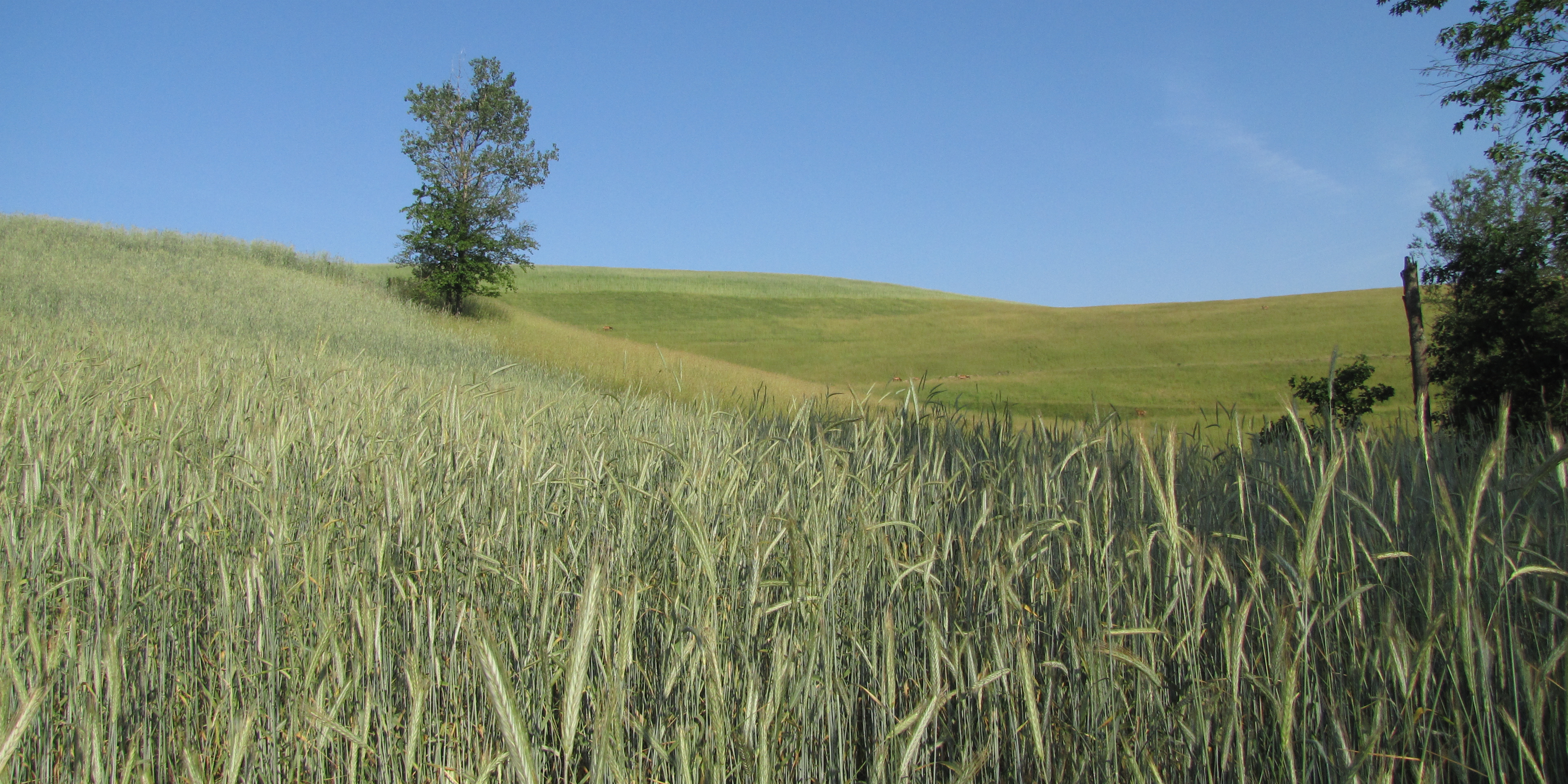 Landowner Resources | Game Commission | Commonwealth of Pennsylvania