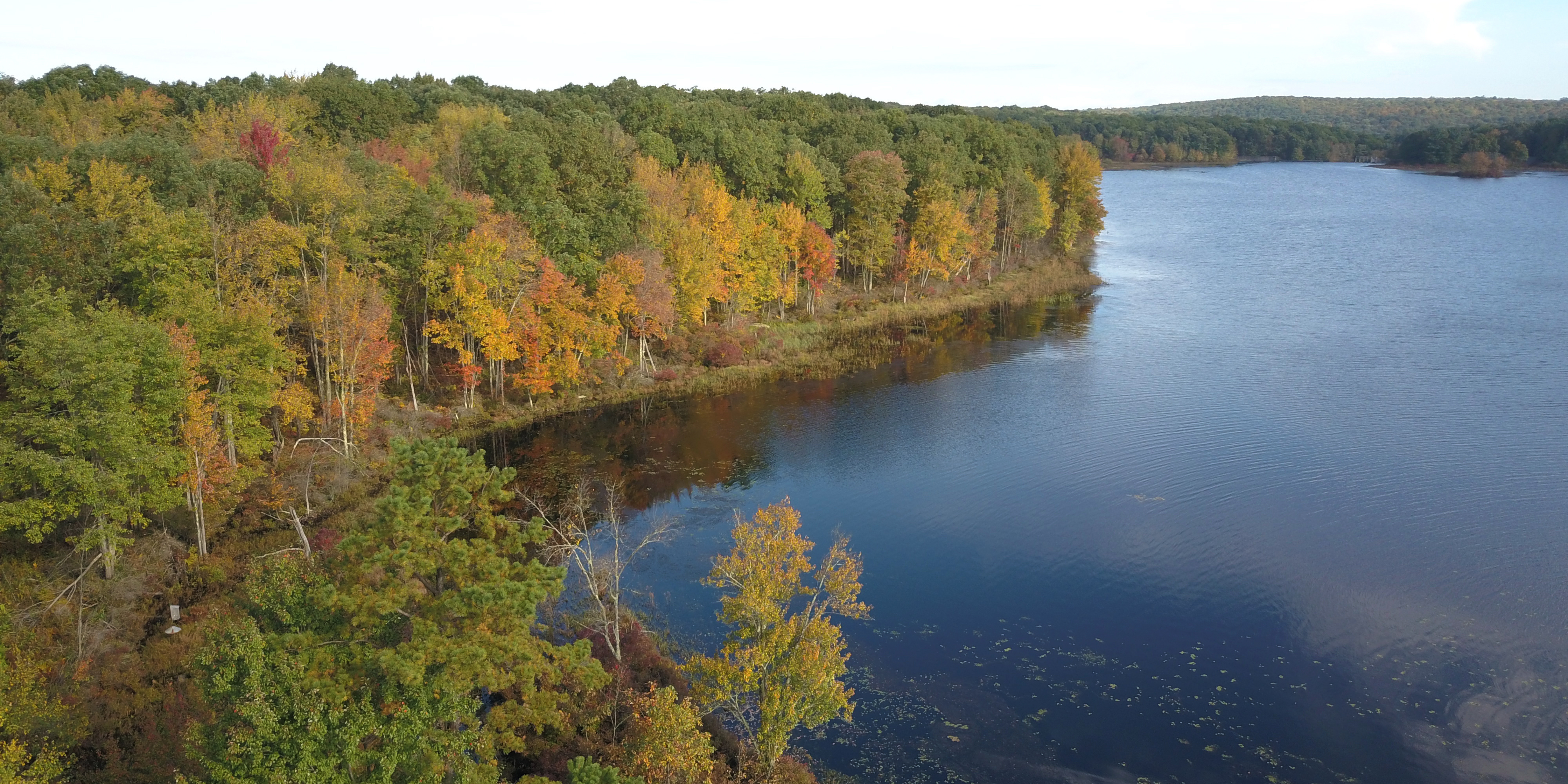 Wildlife Management Units | Game Commission | Commonwealth of Pennsylvania