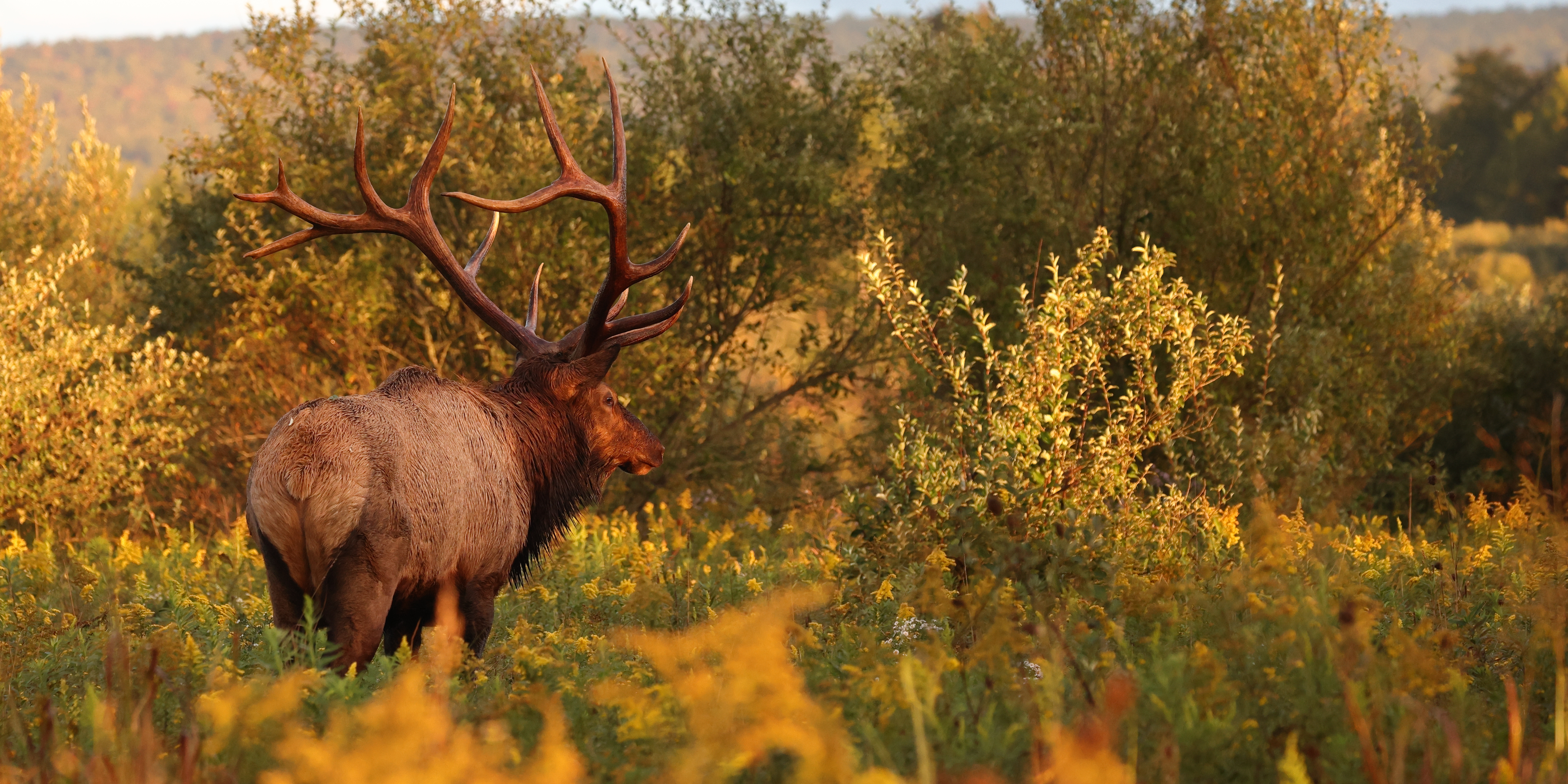 Contact Information | Game Commission | Commonwealth of Pennsylvania
