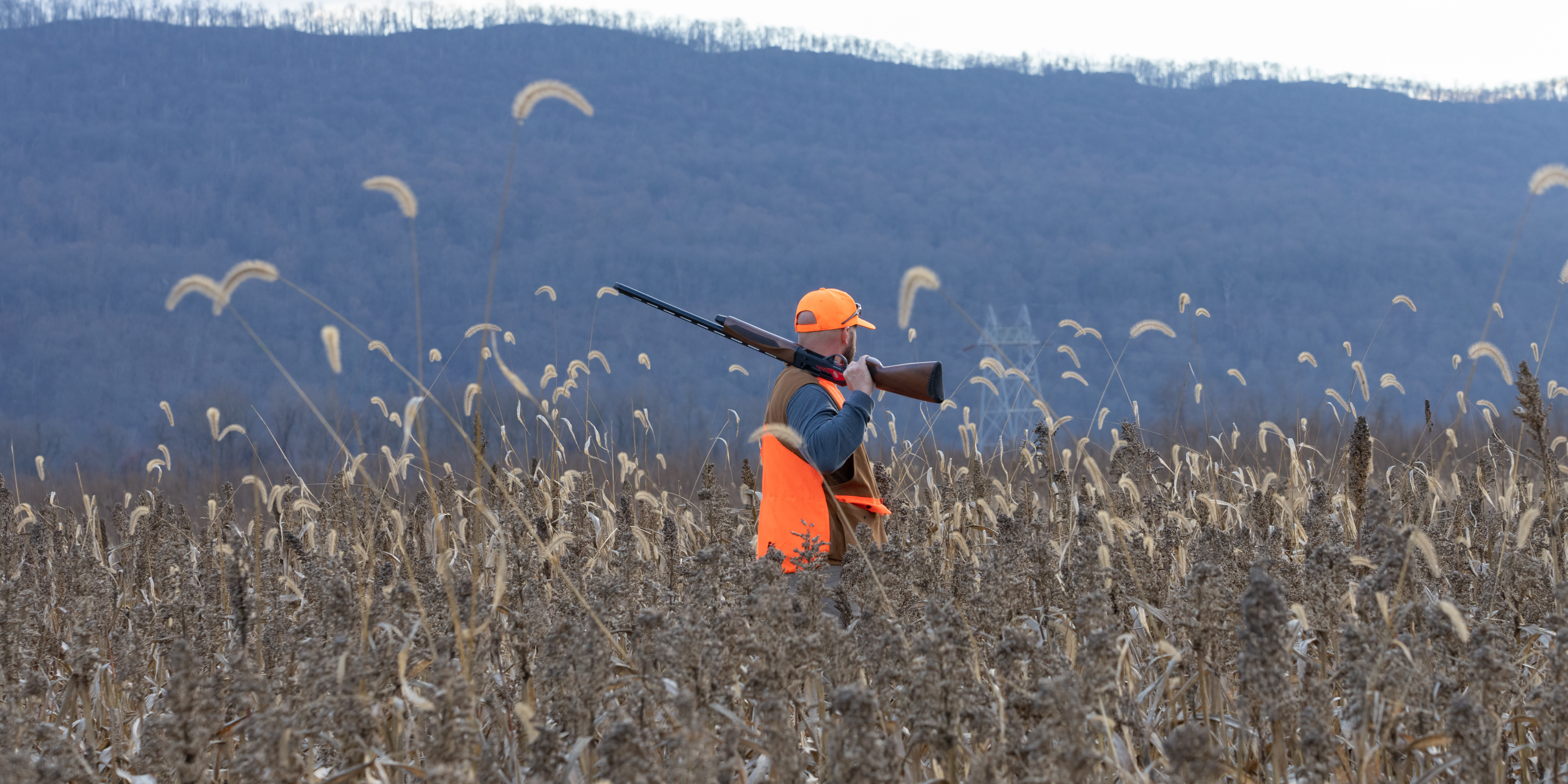 Become a Hunter Access Cooperator | Commonwealth of Pennsylvania