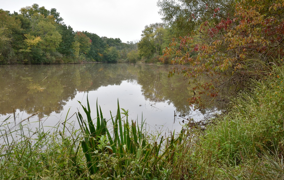PHMC Announces Daniel Boone Homestead Lake Restoration Project ...